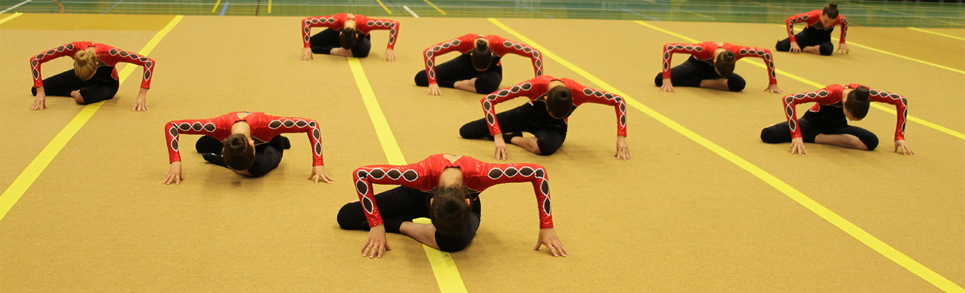 Techniklehrgang Turnen